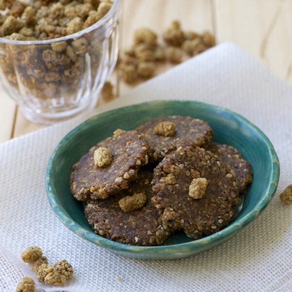 Bejeweled Maca Cookies | No-Bake, Gluten-Free, Vegan