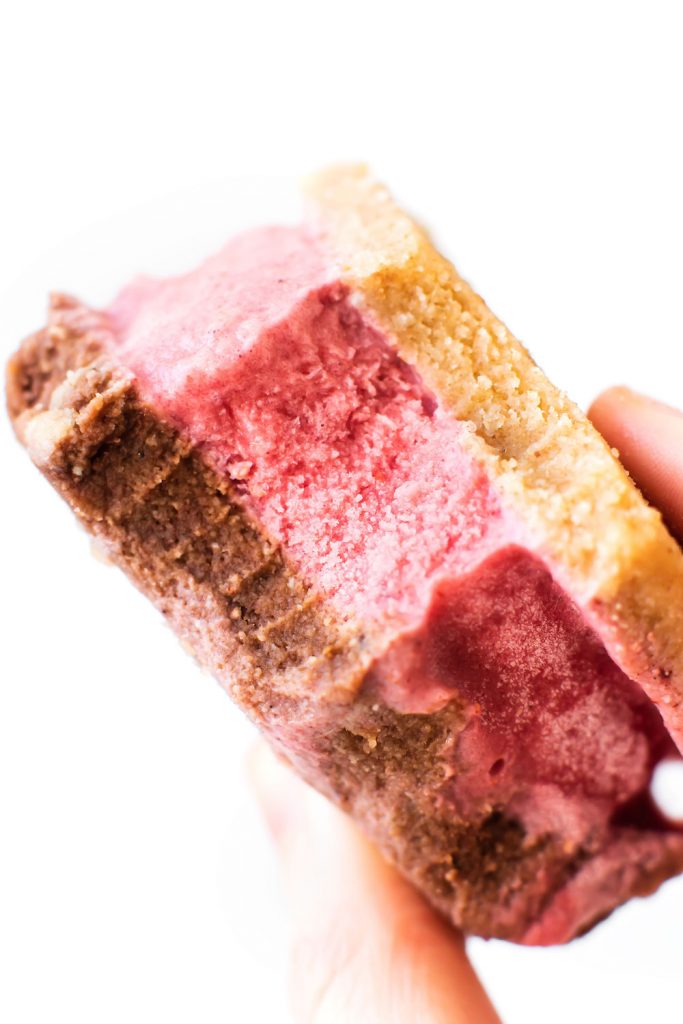 Neapolitan Ice Cream Sandwiches | Vegan, Grain-Free, Paleo