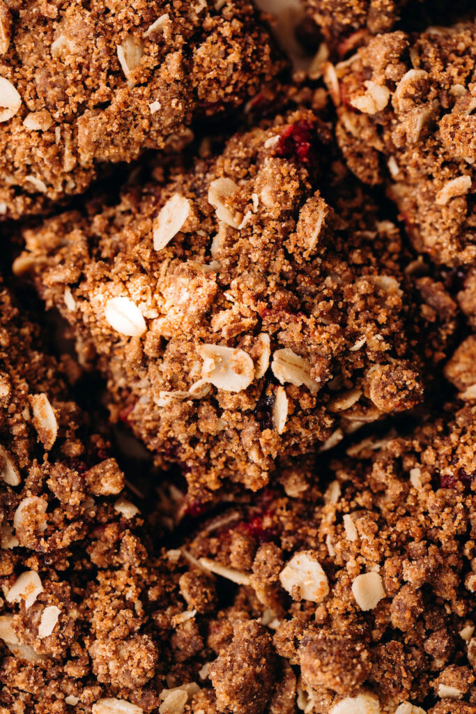 Cranberry Gingerbread Crumb Bars (vegan + gf) | Feasting on Fruit