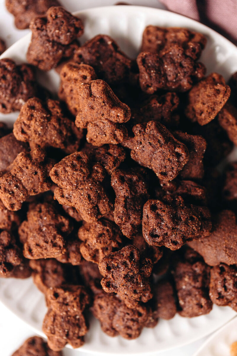 Homemade Teddy Grahams (vegan + gluten-free) | Feasting on Fruit