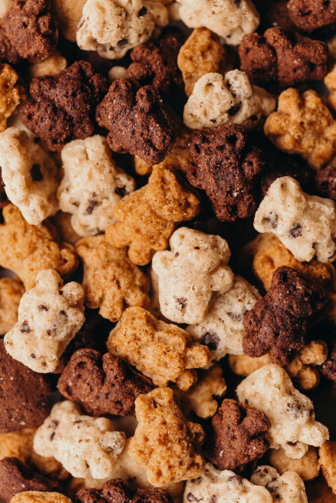 Homemade Teddy Grahams (vegan + gluten-free) | Feasting on Fruit
